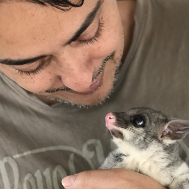 About Us – Koalas On The Green